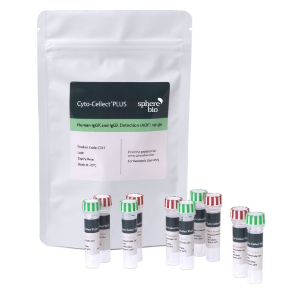 Cyto-Cellect Plus Human IgG κ and λ Detection Assay