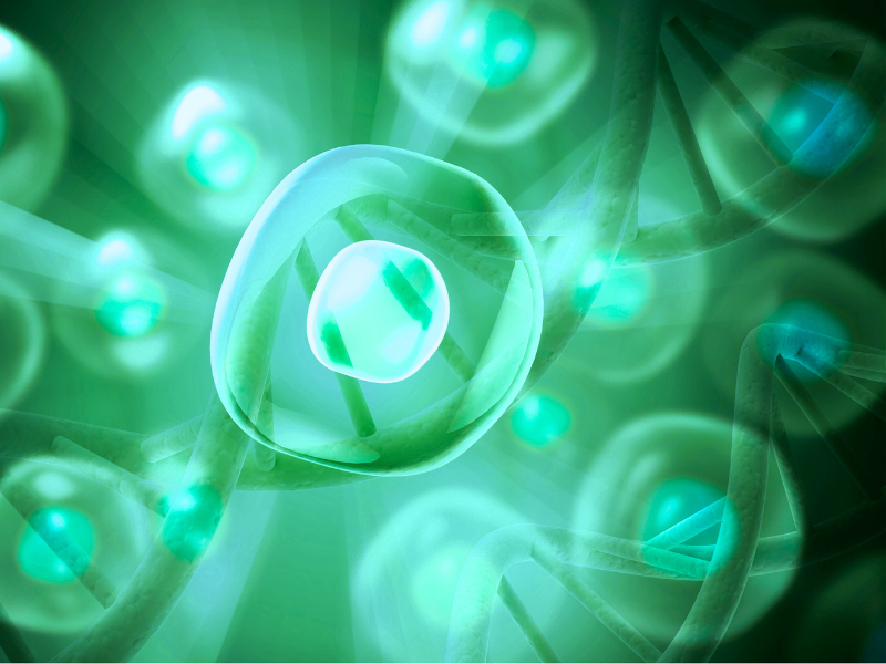 Sphere Bio | Cell Selection, Sorted.